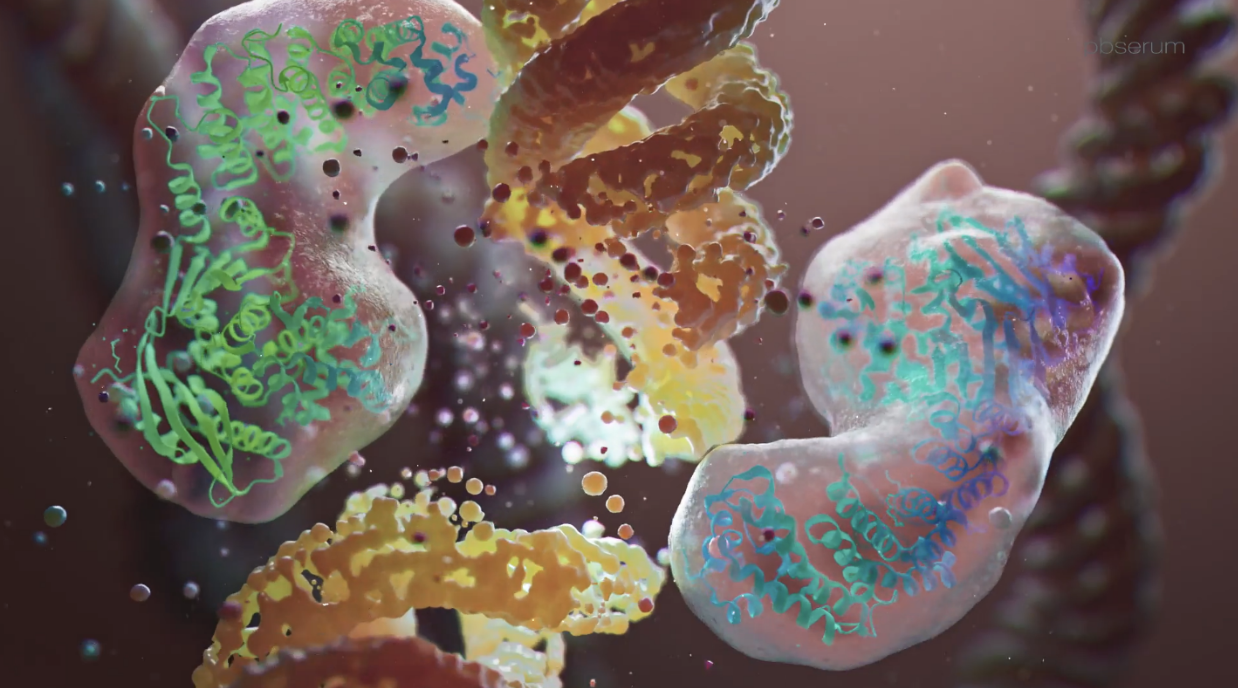 How 3D medical animation works in cosmetology