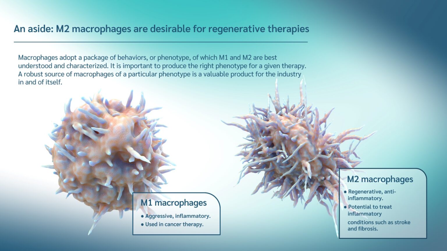 Scientific Slide Decks | NanobotMedical