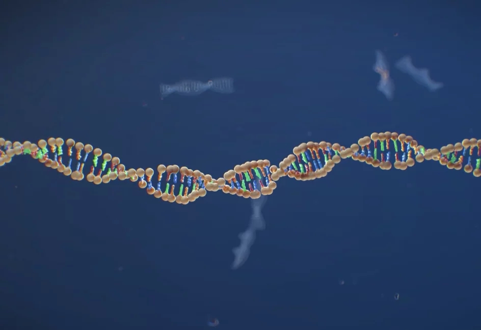 Base editing is a new revolution in cancer treatment
