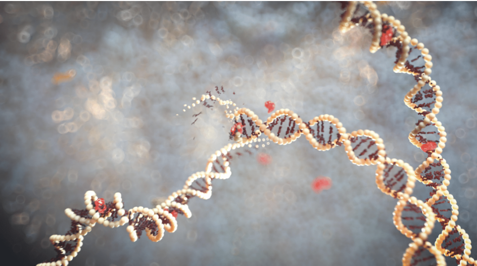 Base editing is a new revolution in cancer treatment