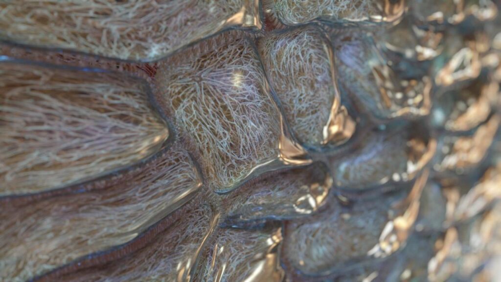 Transdermal drug delivery medical animation by Nanobot medical