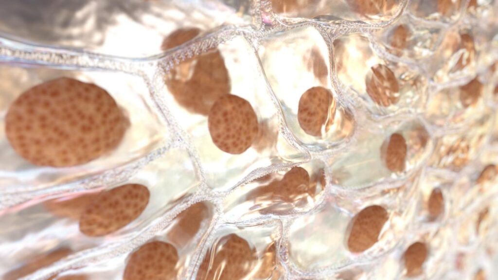 Transdermal drug delivery medical animation by Nanobot medical