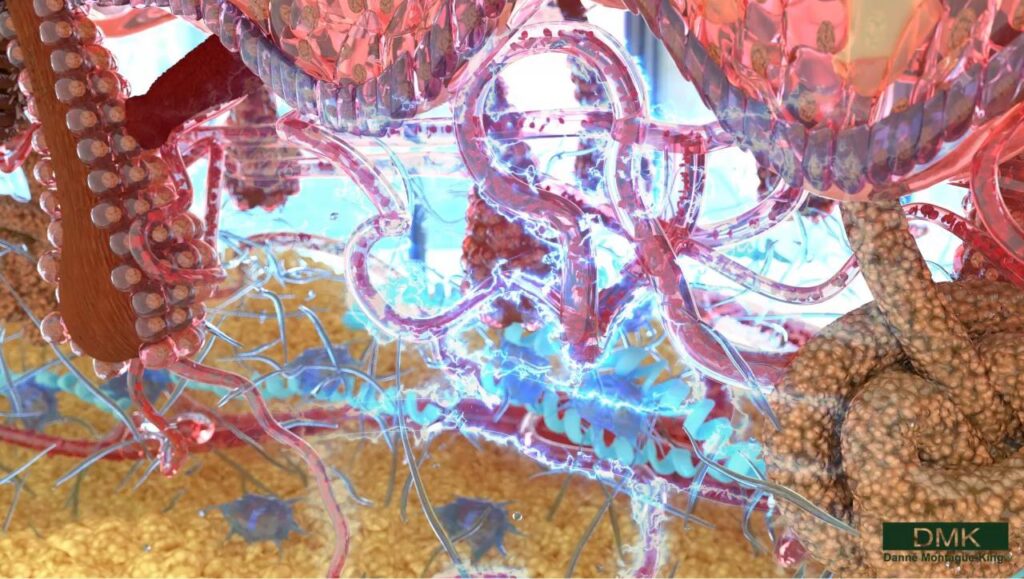 DMK: skin care enzyme mask - case study - Nanobotmedical