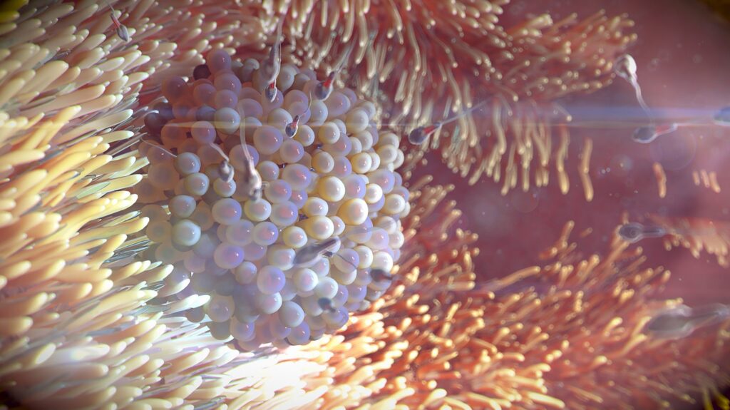 Gynecology VR Animation: infertility - case study - Nanobotmedical